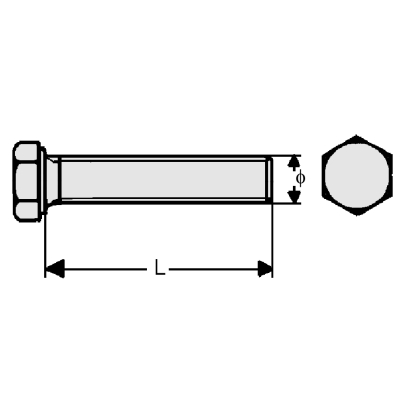 Polt M16x40 10.9 - Sike Agri