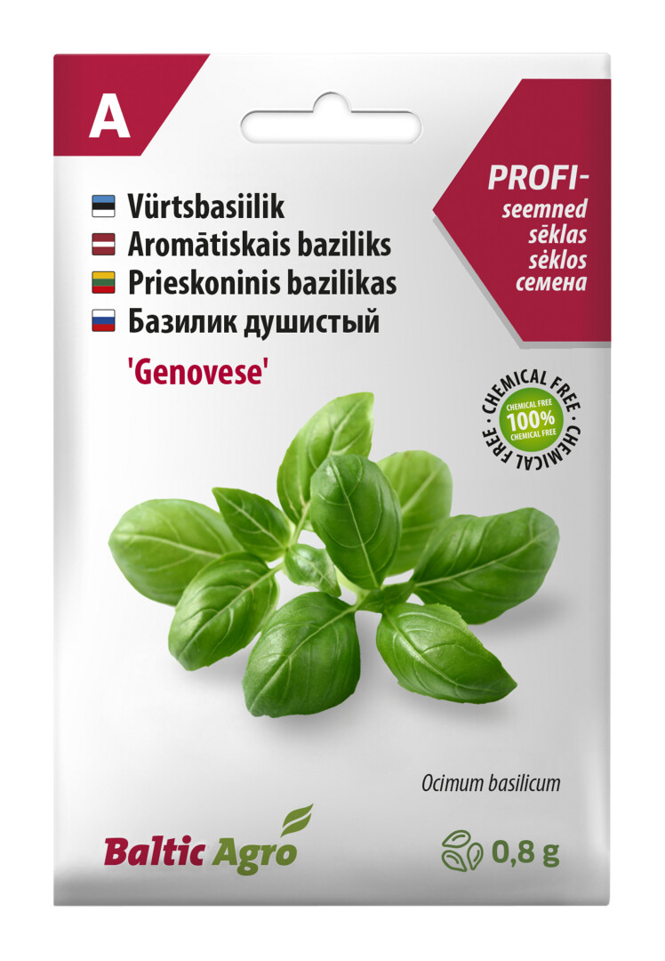 Basiilik ‘Genovese’ - Sike Agri